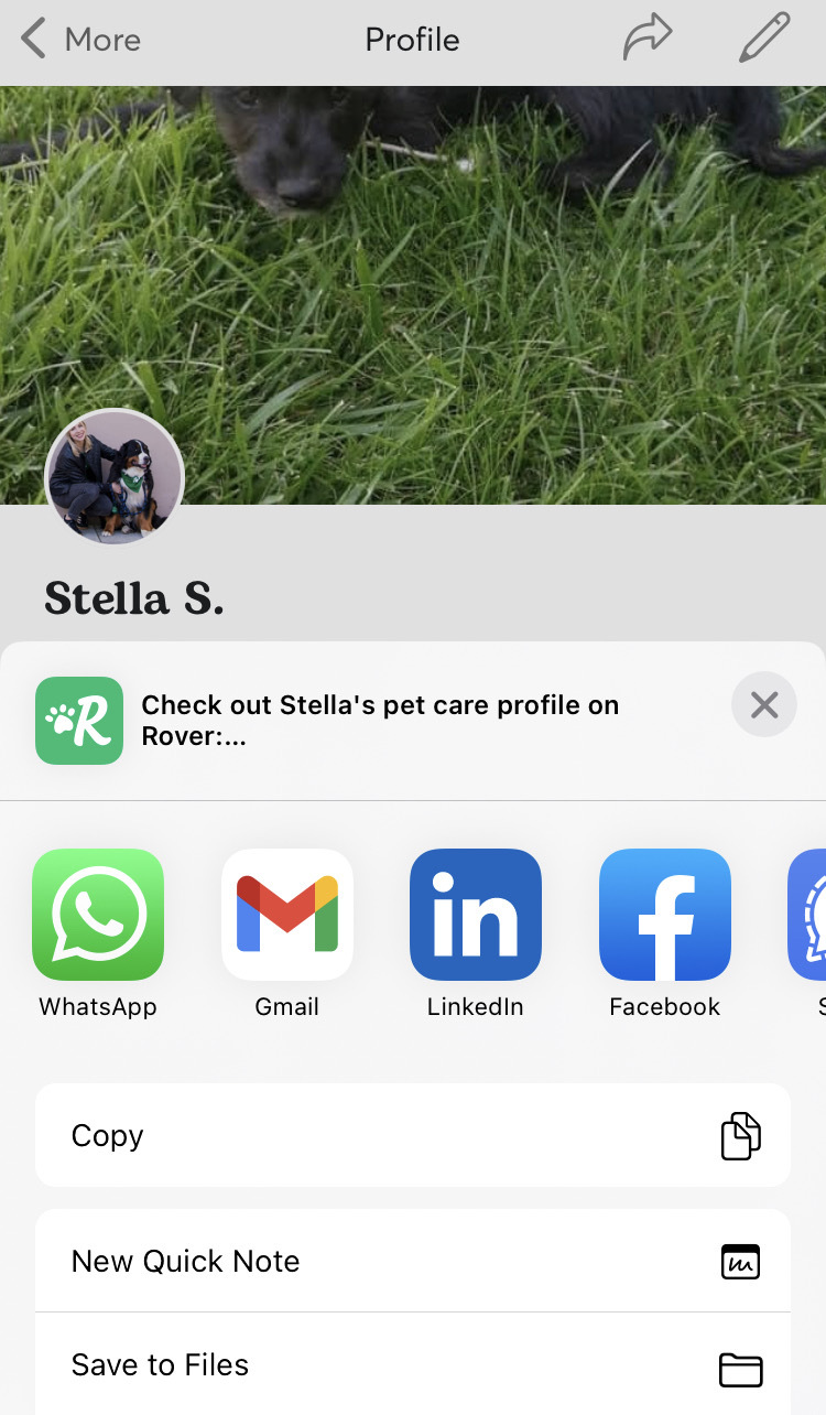 How can I promote my pet care services to others outside of Rover ...